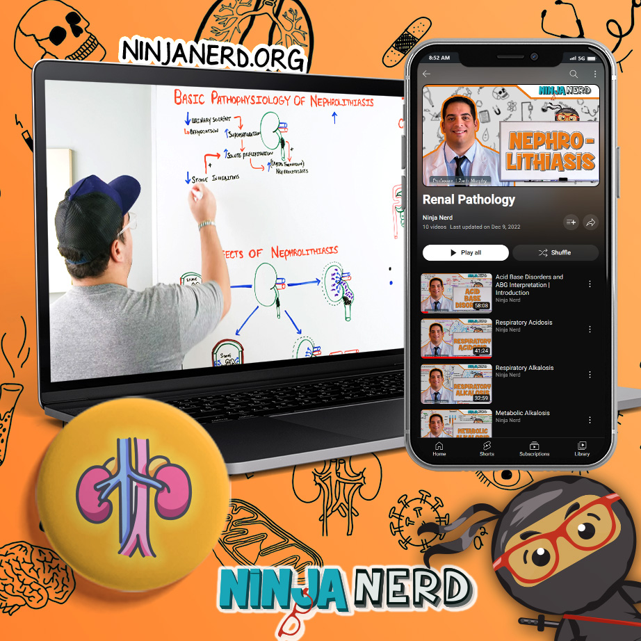 What's New - Ninja Nerd